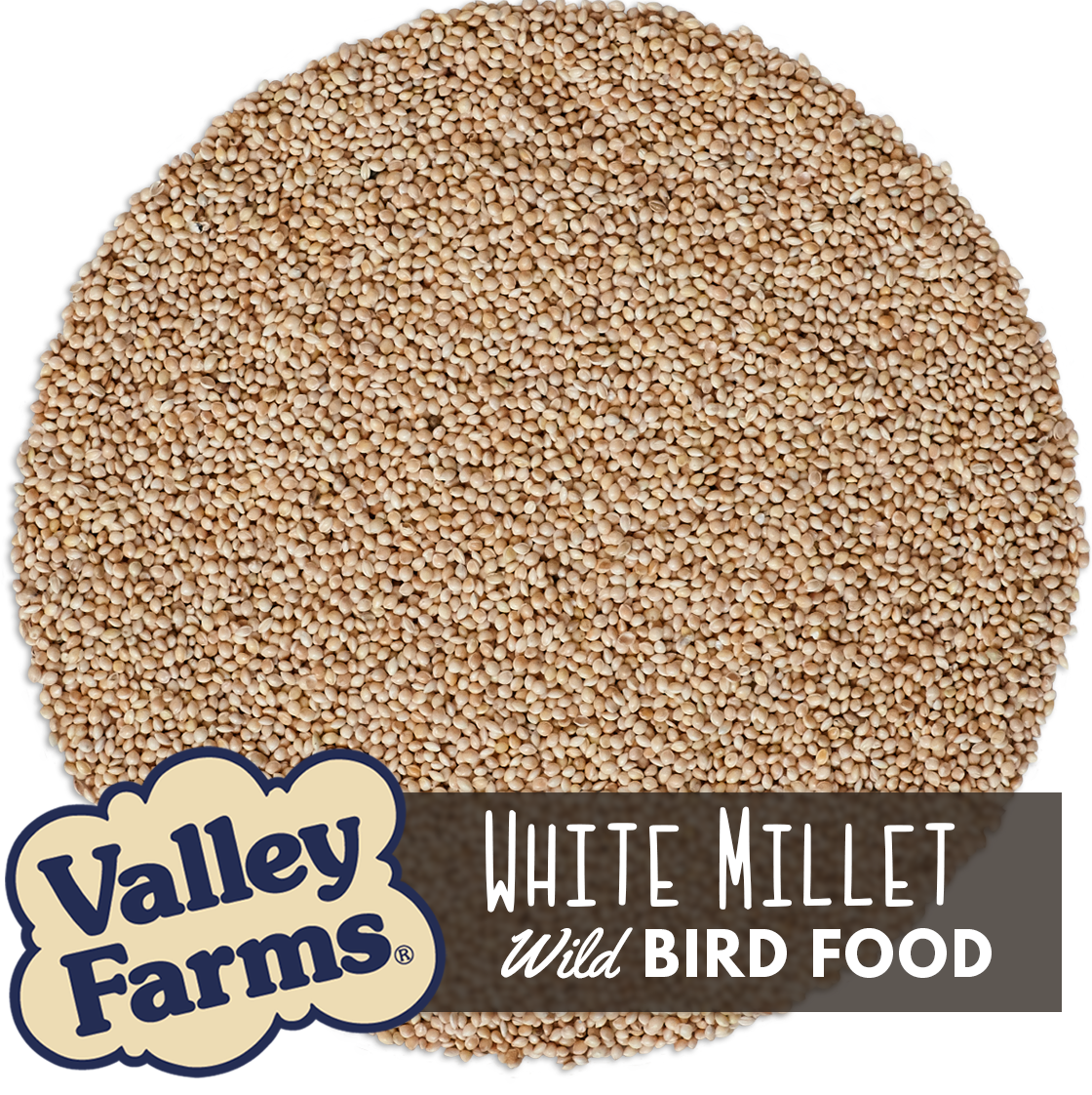 Valley Farms White Millet Wild Bird Food – Valley Farms Shop
