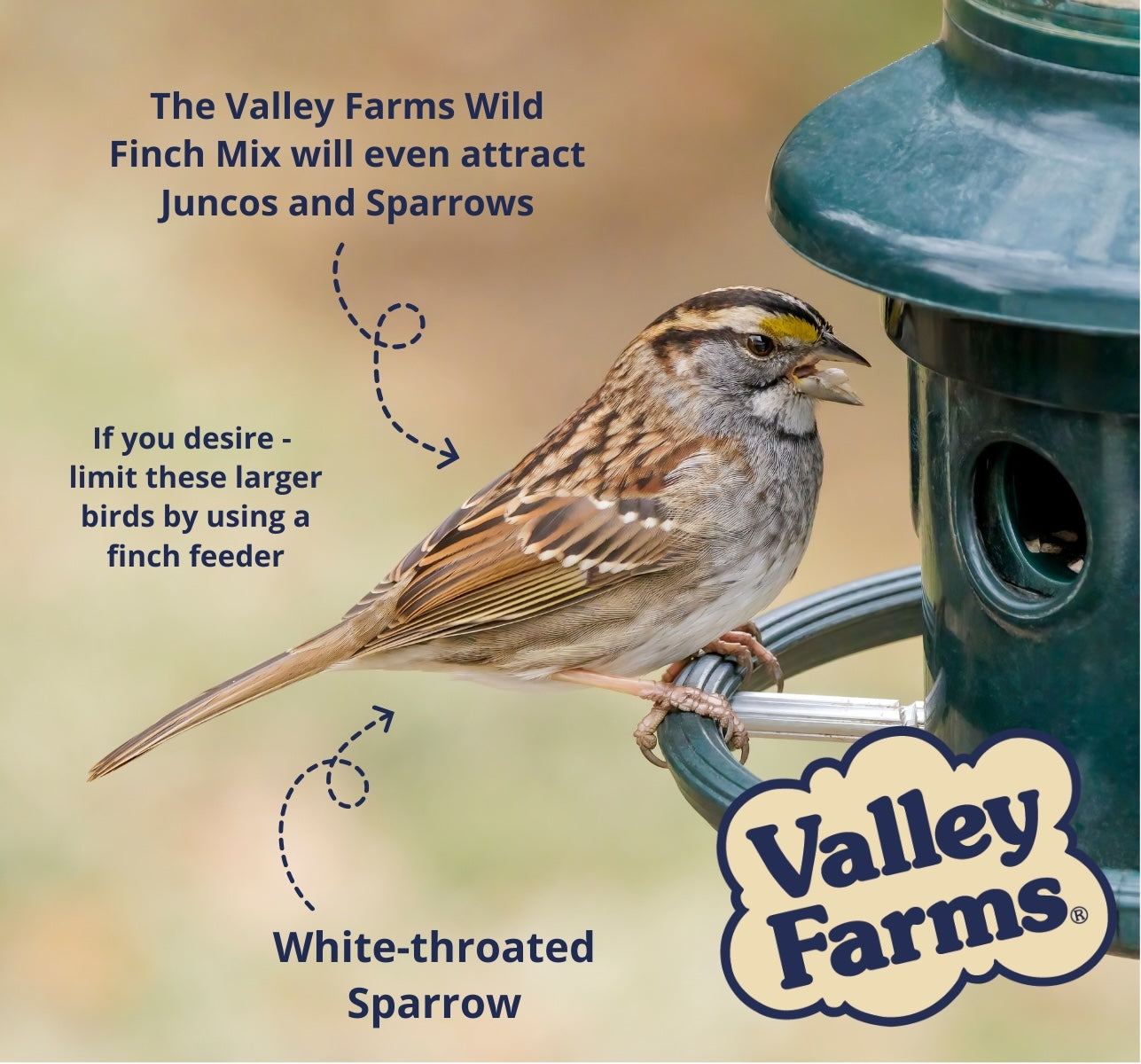 Valley Farms Wild Finch Mix Wild Bird Food – Valley Farms Shop